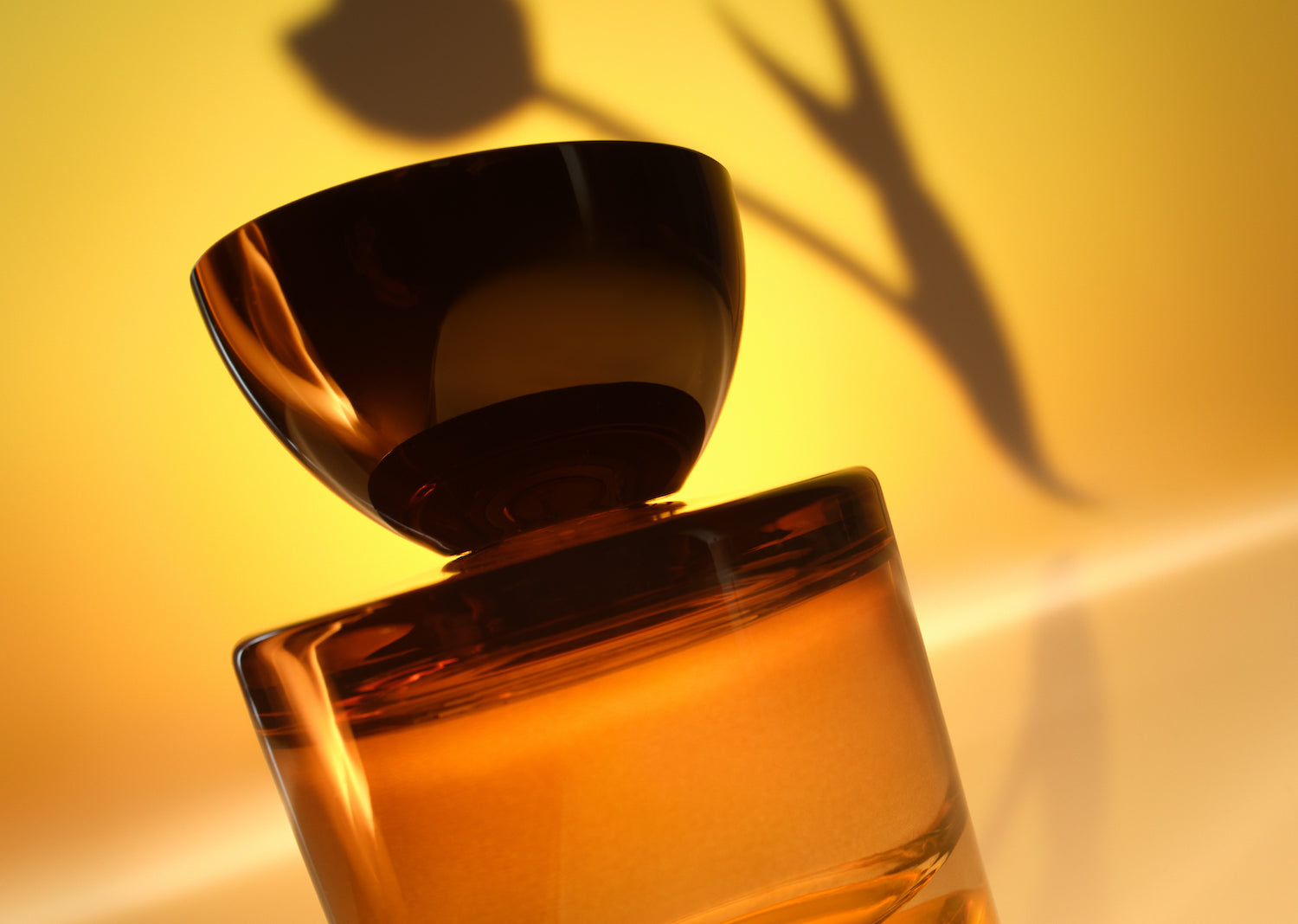 The New Mood-Altering Perfumes – Vyrao